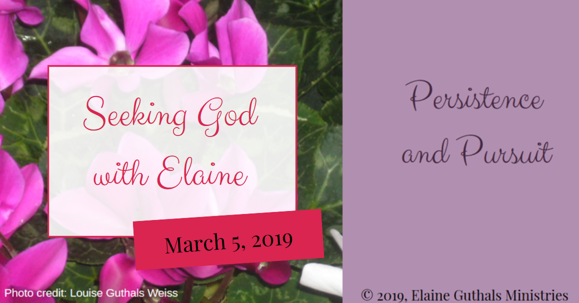 Persistence and Pursuit - Seeking God with Elaine