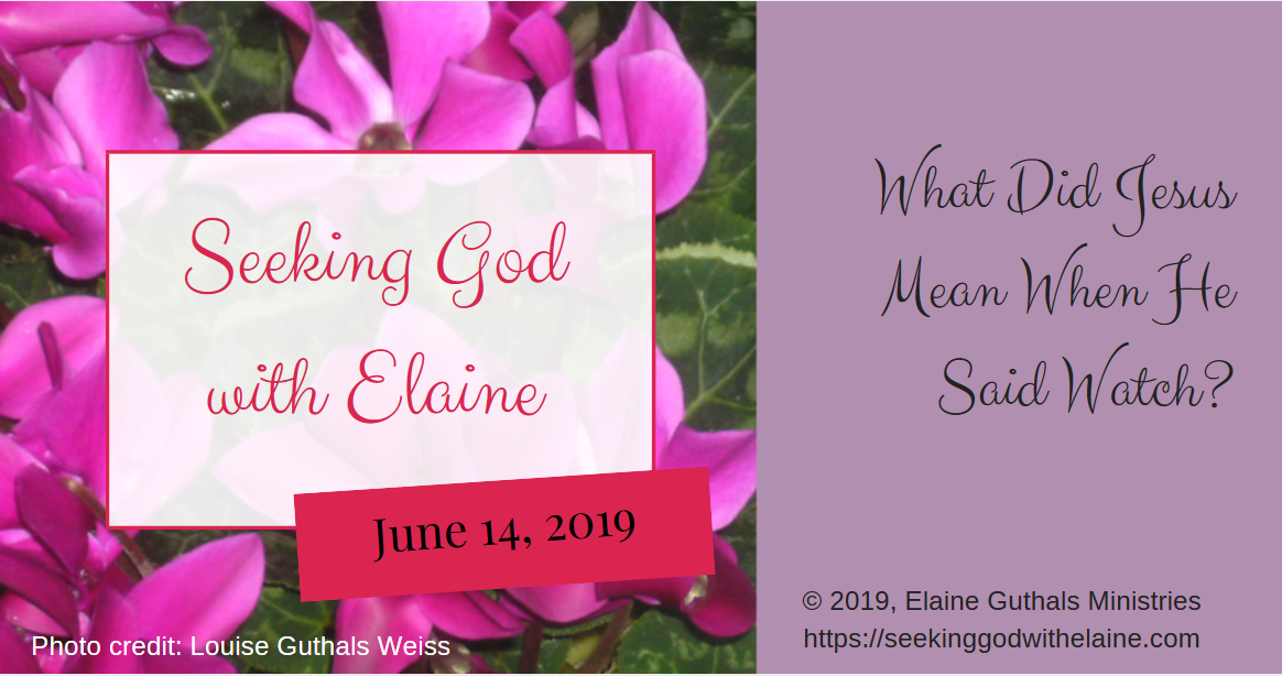 What Did Jesus Mean When He Said Watch? - Seeking God with Elaine