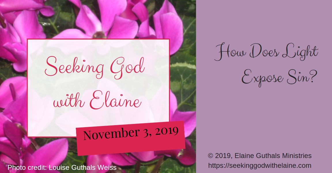How Does Light Expose Sin? - Seeking God with Elaine