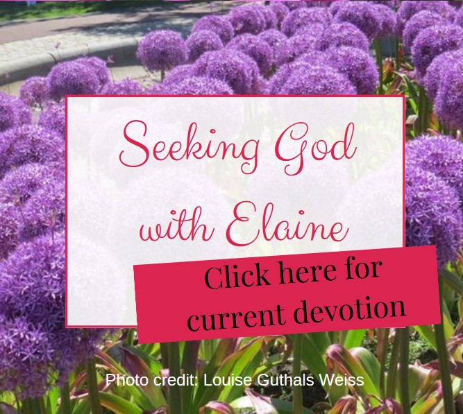 Seeking God with Elaine – Seeking God with Elaine strives to provide a ...