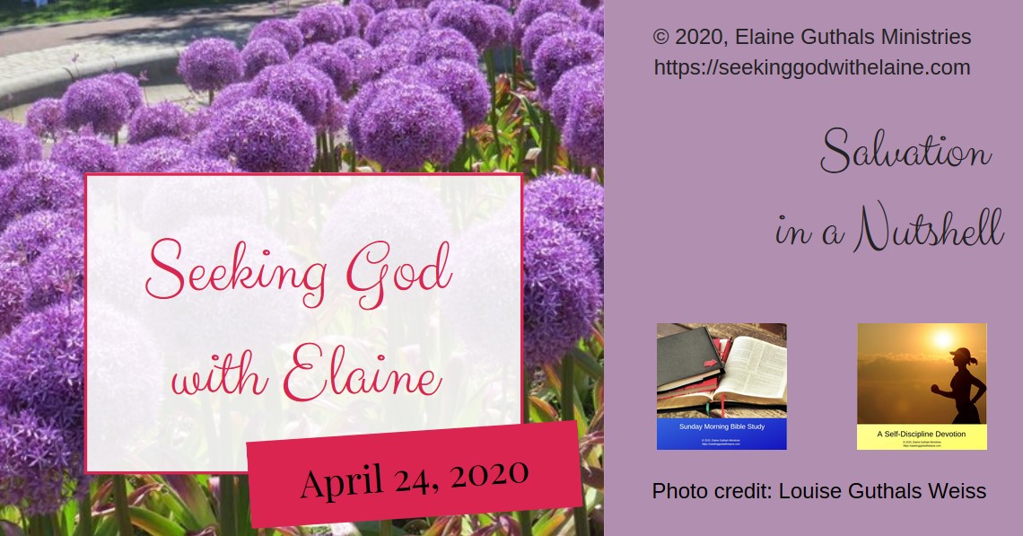 Salvation in a Nutshell - Seeking God with Elaine