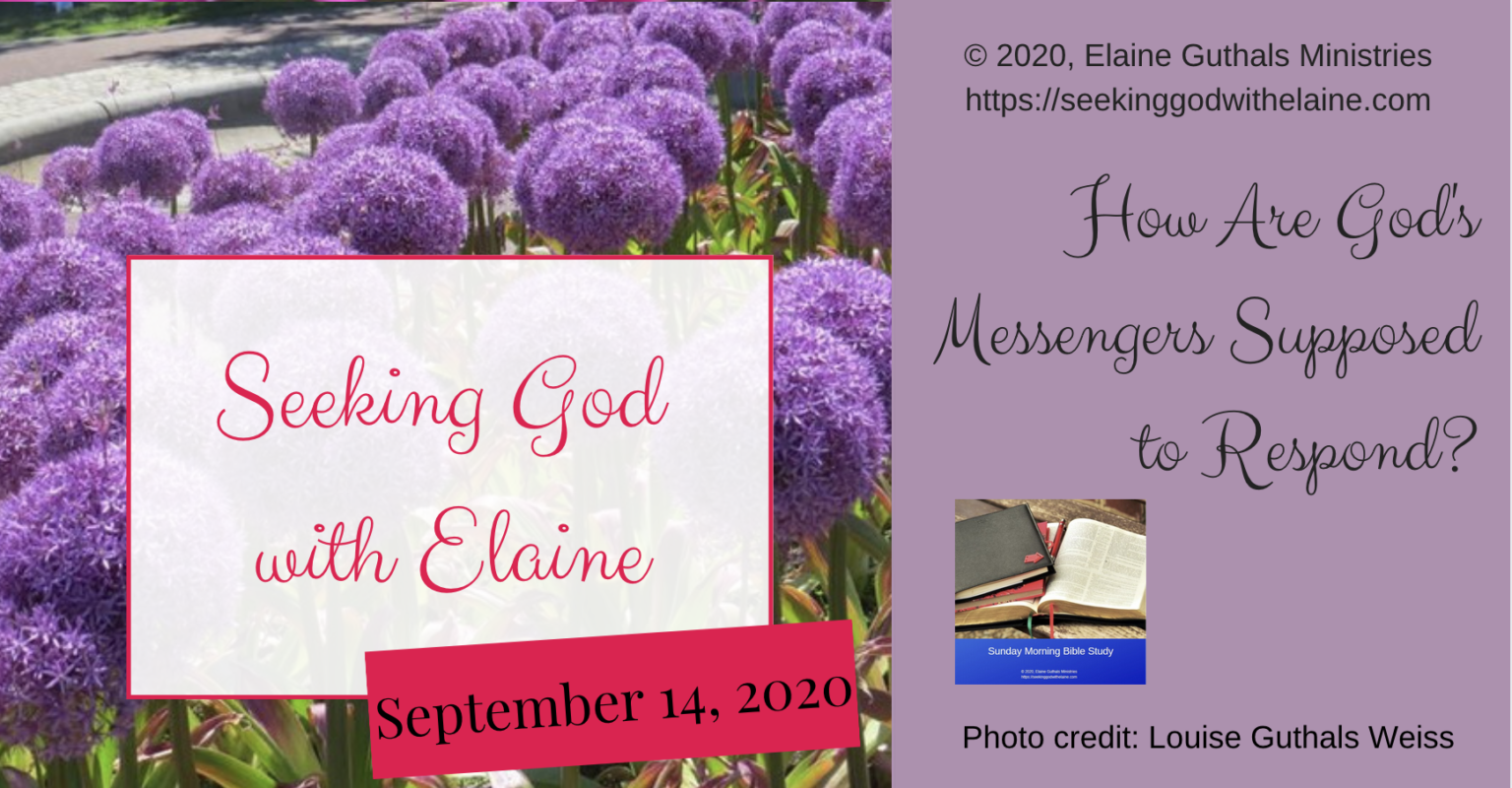 How Are God’s Messengers Supposed to Respond? - Seeking God with Elaine