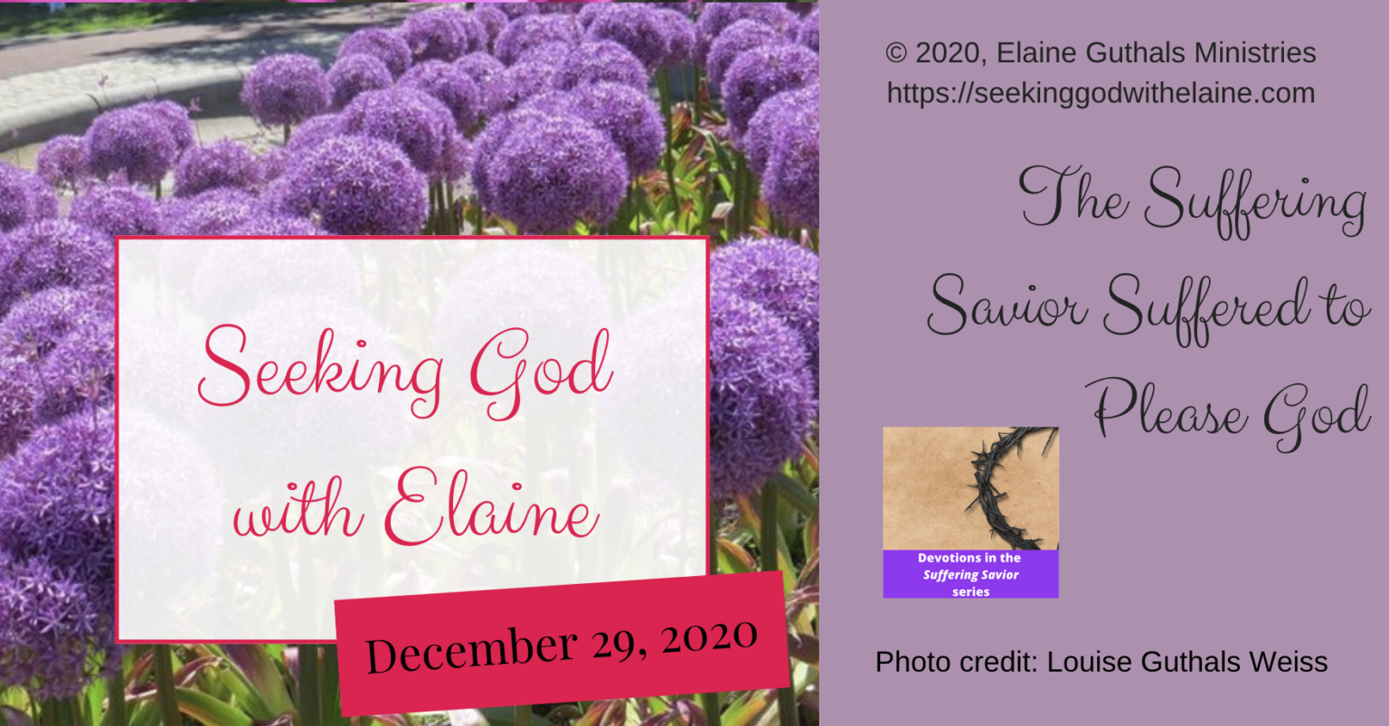 The Suffering Savior Suffered to Please God - Seeking God with Elaine