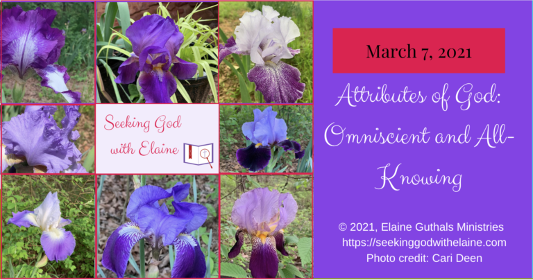 Attributes of God: Omniscient and All-Knowing - Seeking God with Elaine