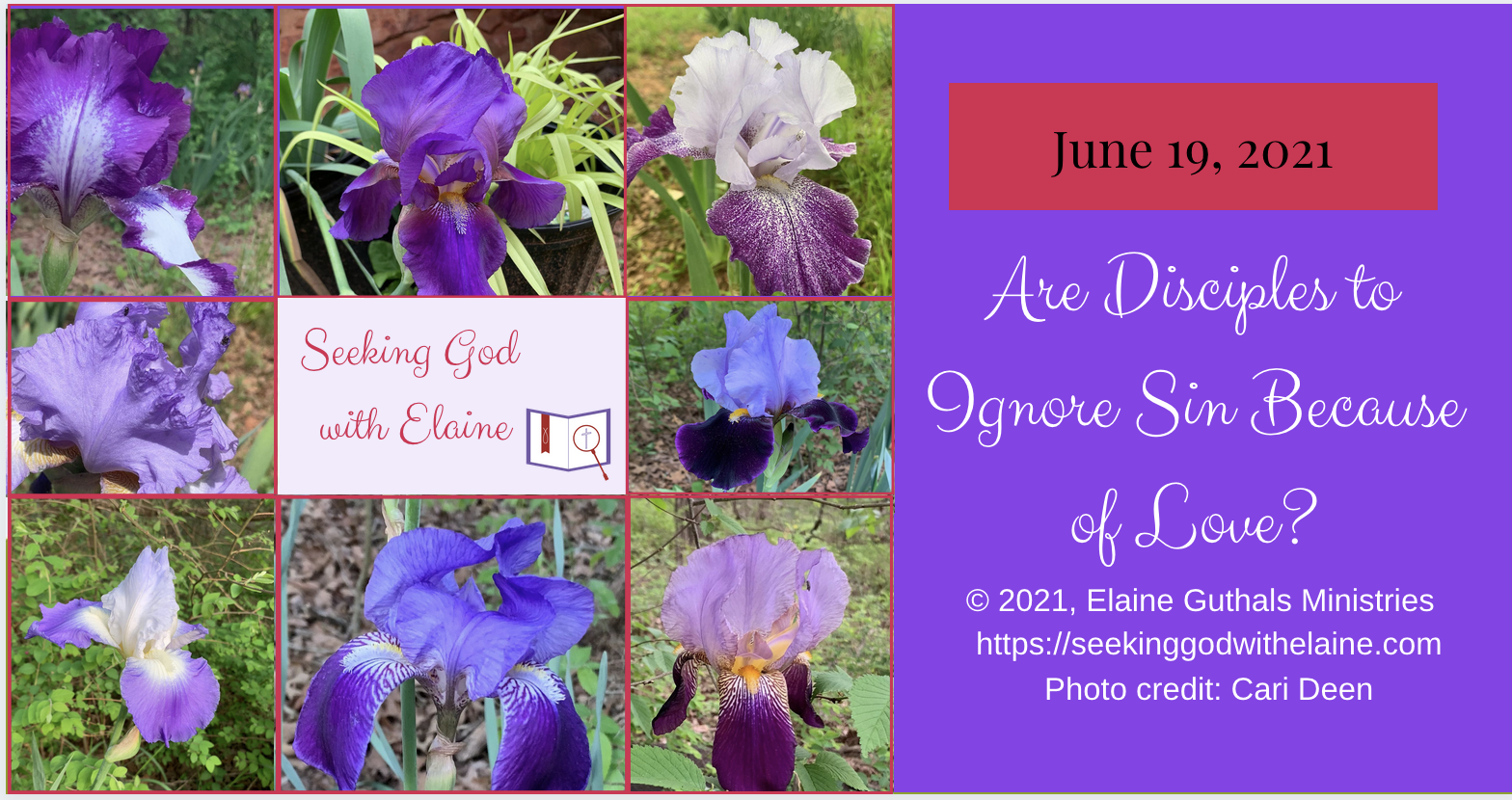 Are Disciples to Ignore Sin Because of Love? - Seeking God with Elaine