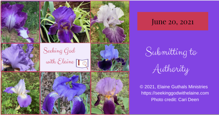 Submitting to Authority - Seeking God with Elaine
