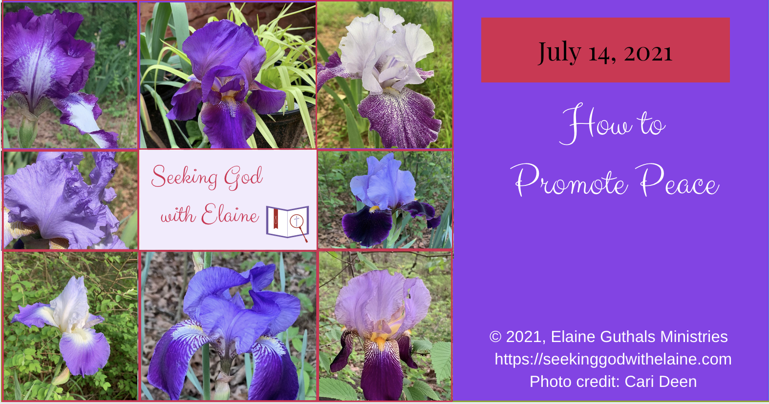 How to Promote Peace - Seeking God with Elaine