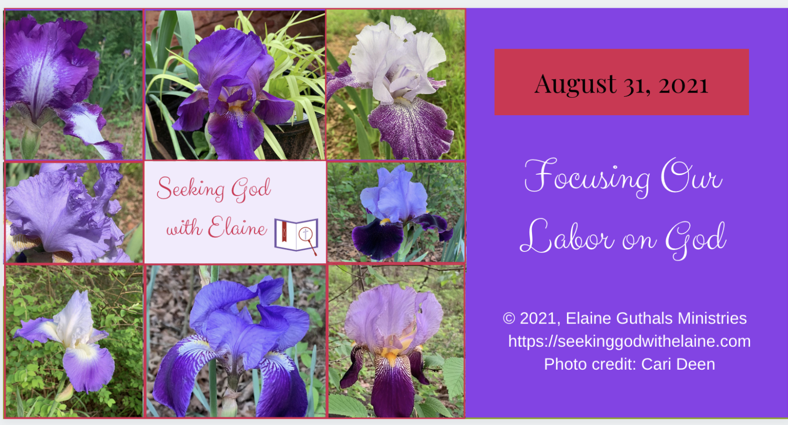 Focusing Our Labor on God - Seeking God with Elaine