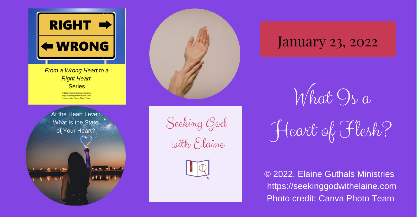 What Is a Heart of Flesh? - Seeking God with Elaine
