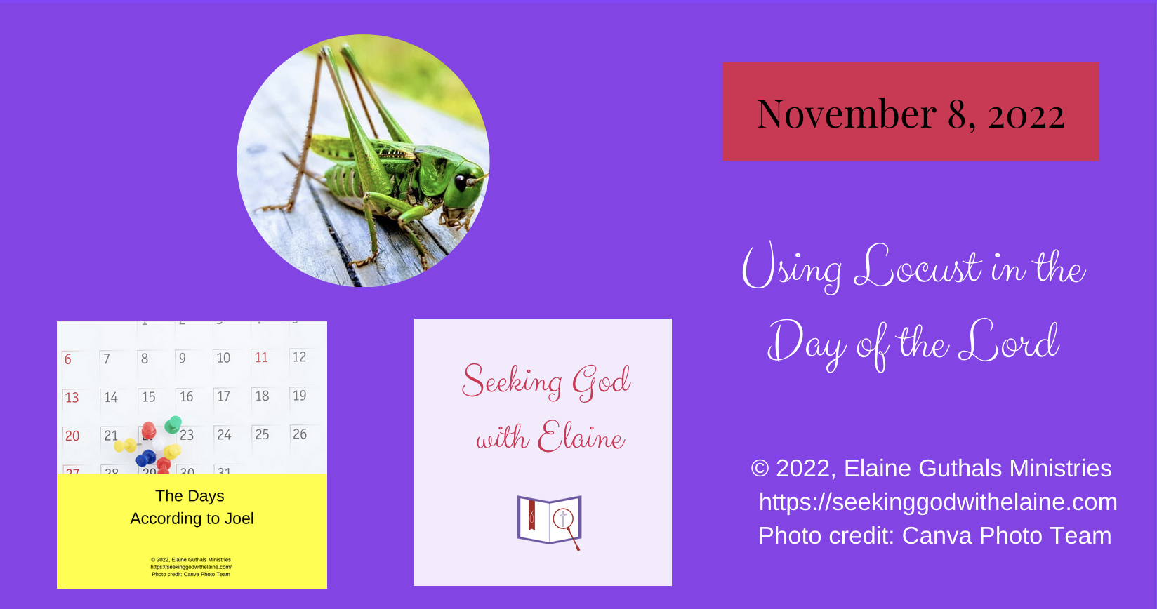 Using Locust in the Day of the Lord - Seeking God with Elaine