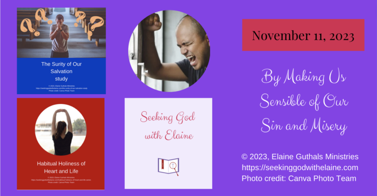 By Making Us Sensible of Our Sin and Misery - Seeking God with Elaine